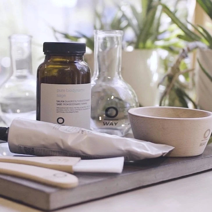 ALL OWAY – Moxie and Muse